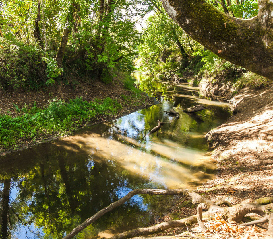 Tualatin River Watershed Navigator | Managing Erosion