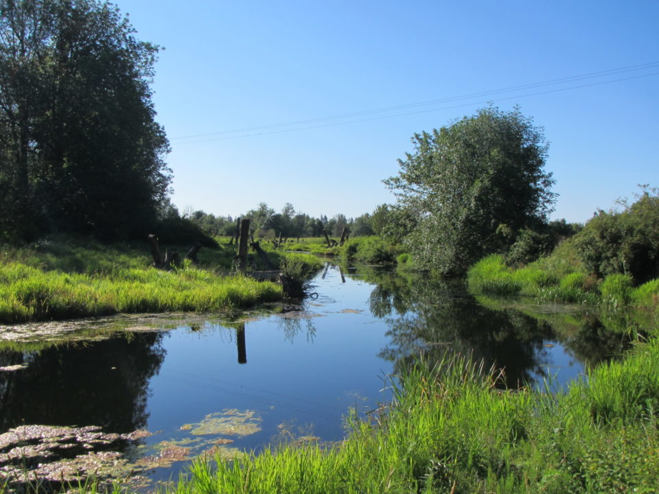 Tualatin River Watershed Navigator | About